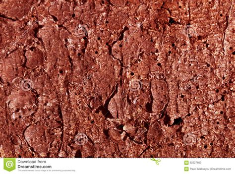 Red Toned Pine Tree Bark Pattern Stock Image Image Of Nature Background