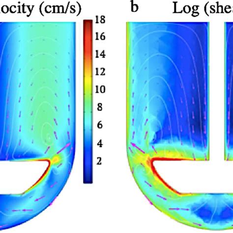 Cfd Predictions For A Fluid Velocity Magnitude And B Logarithmic Download Scientific