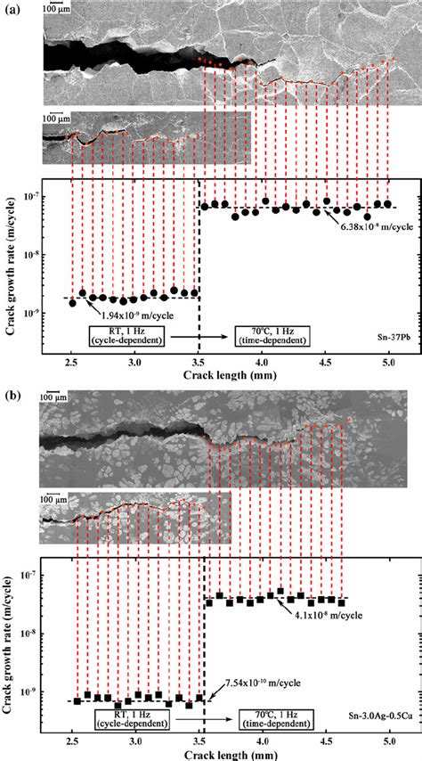 Fatigue Crack Path Observation And Crack Growth Rate Versus Crack