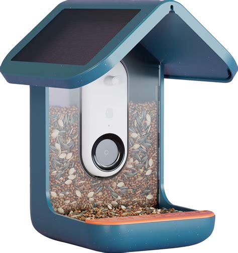 Customer Reviews Bird Buddy Smart Bird Feeder With Solar Roof Blue