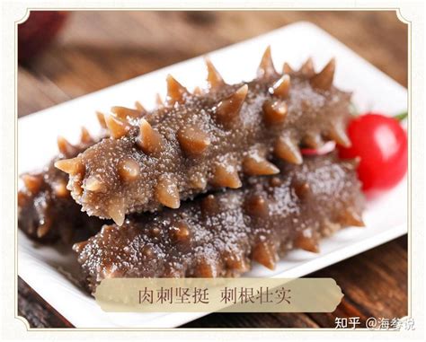 即食海参怎么保存吃之前怎么处理 知乎
