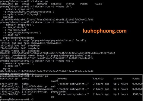 Quản Trị Docker Trên Ubuntu 24 04 Từ A đến Z Hướng Dẫn Chi Tiết Luu Ho Phuong Blog