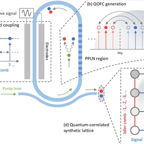 Concept Of A Quantum Correlated Synthetic Crystal A A Nanophotonic Download Scientific