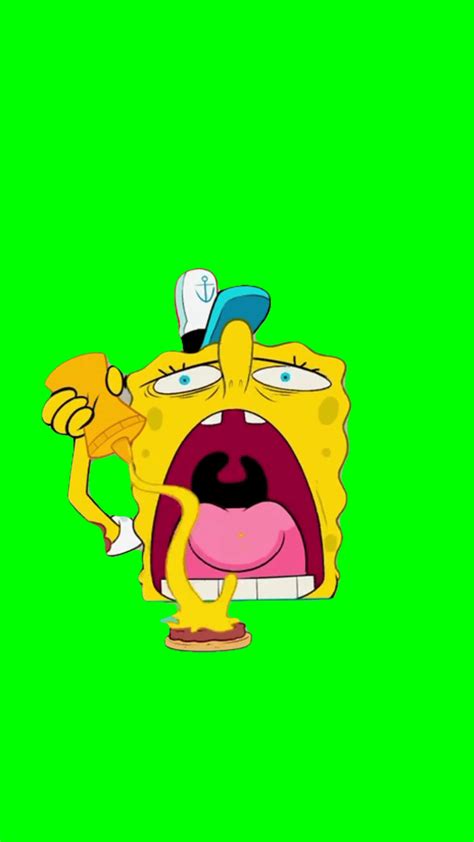 Spongebob Mustaaaard Meme Green Screen Video Download Mp4