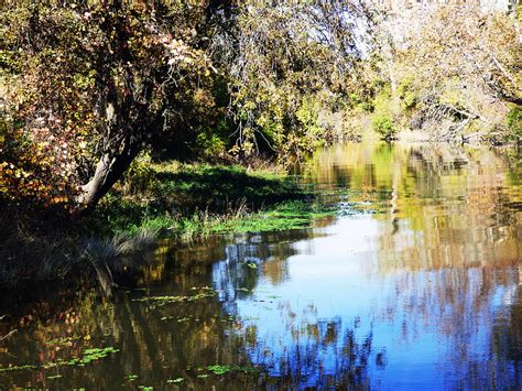A Lazy River Photograph By Pamela Patch Pixels
