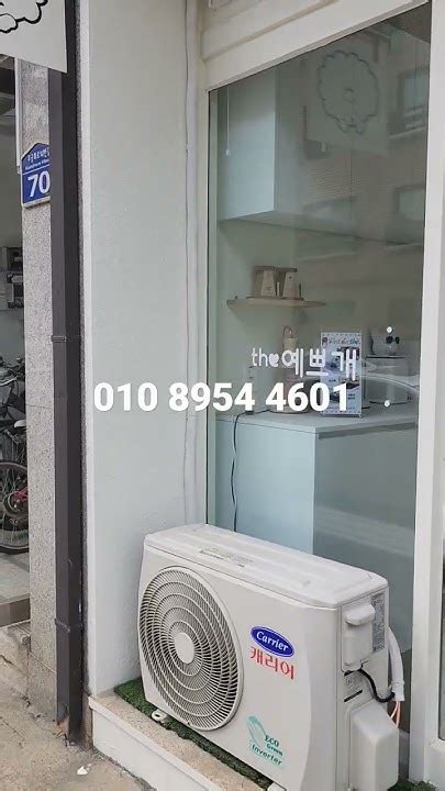 정발산동 애견 미용업체 벽걸이에어컨 설치 에어컨 냉난방기 에어컨설치 에어컨청소 가족 여름 폭염 가전 거실 곰팡이 Youtube