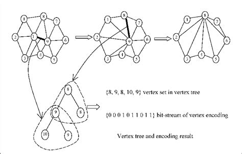 The Procedure Of Edge Collapse And Vertex Encoding In A Vertex Tree