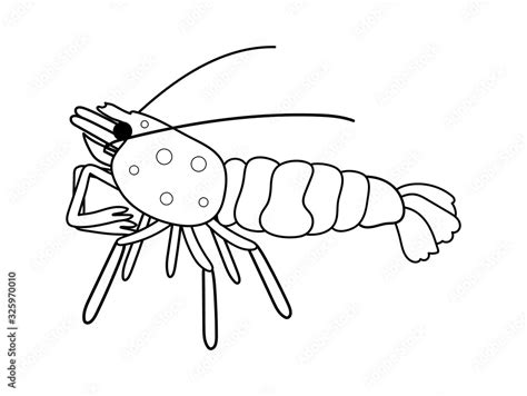 Crustaceans Drawing