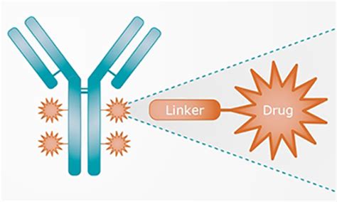 Adc And Bioconjugation Reagents Aladdin Scientific
