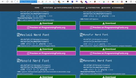 【终端美化】ohmyposh终端美化