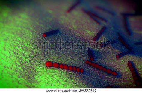Streptococcus Pneumoniae Pneumococcus Grampositive Coccus Shaped Stock Illustration 395580349