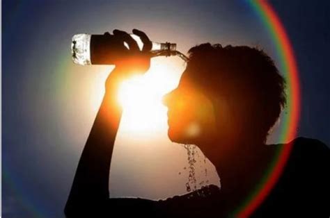 Две лица починаа поради топлотниот бран во Франција Сител Телевизија