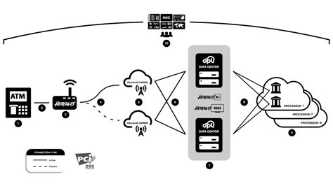 Dpls Network Architecture