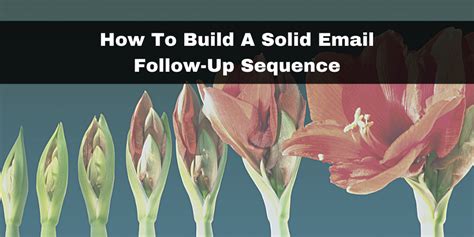 How To Build A Solid Email Follow Up Sequence The Marketing Onion