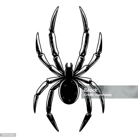 거미의 그림 라벨 기호 엠블럼 포스터용 디자인 요소 벡터 일러스트레이션 거미에 대한 스톡 벡터 아트 및 기타 이미지 거미