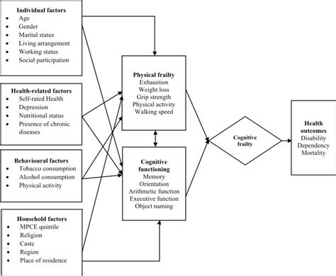 Conceptual Framework For Cognitive Frailty Download Scientific Diagram