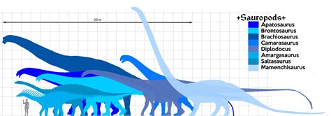Sauropod By Mad Hatter Lcarol On Deviantart