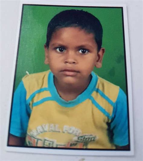 Japanese Encephalitis Claims 5 Yr Olds Life The Tribune