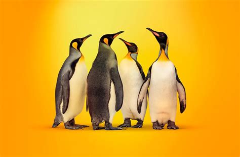 Cve 2024 3094 Malicious Code In Linux Distributions Kaspersky Official Blog