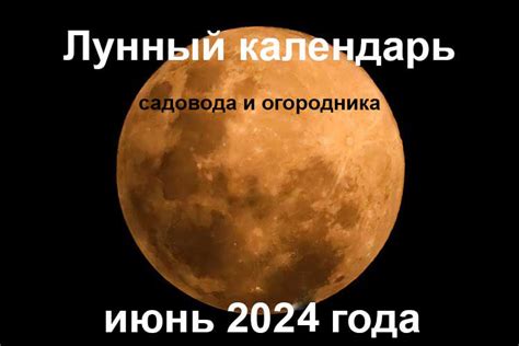 Лунный календарь садовода и огородника на июнь 2024 года