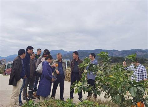 传承红色革命基因以党建引领乡村振兴环生学院教师党员赴闽中革命根据地开展志愿服务活动 环境与生物工程学院