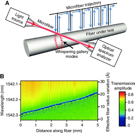 A Illustration Of The Experimental Setup For Characterization Of The Download Scientific