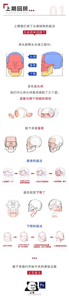 头图片大全 头高清好看的图片 花瓣是云染吖的画板