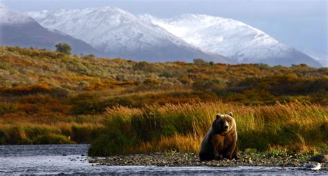 Road Trip Guide To Kodiak Island Mainland Americas Largest Island