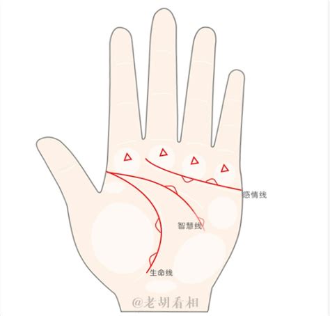 圖解手相三角紋，手中有三角紋好嗎？老胡看相 壹讀