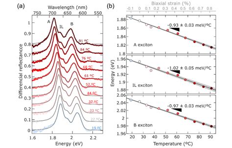 A Differential Reflectance Spectra Of A Mos2 Bilayer Deposited On Pp