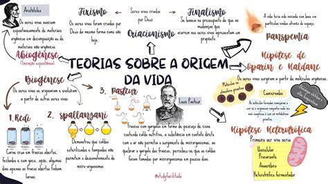 Mapa Mental Origem Da Vida Esquemas Biologia Docsity