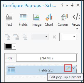 How To Add Leading Zeroes To Numeric Pop Up Field Values In ArcGIS Pro