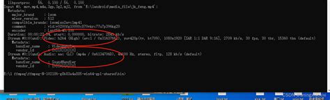 mp4格式解析 mp4分析工具 csdn博客