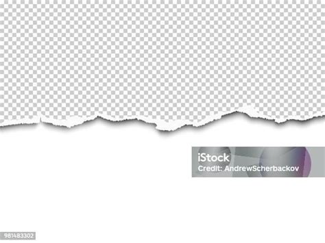 흰색 종이 부분을 나머지 절반 장의 하단에서 투명 종이 찢어진 벡터입니다 서식 파일 디자인입니다 찢겨진에 대한 스톡 벡터 아트 및 기타 이미지 Istock