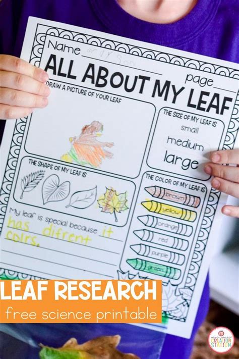 All About My Leaf Science Activity Mrs Jones Creation Station Fall