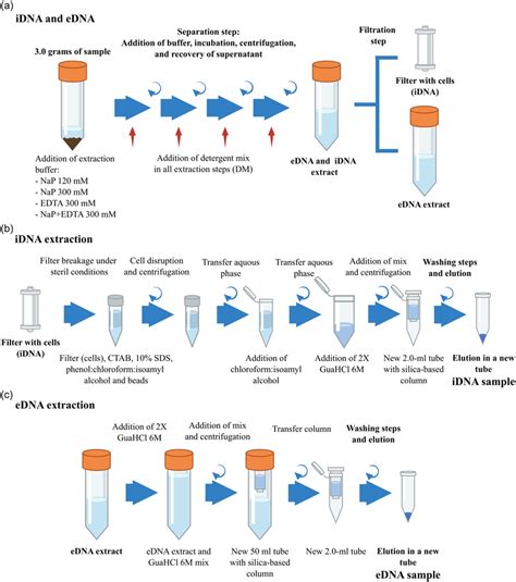 Scheme Of Edna And Idna Separationextraction Method A General