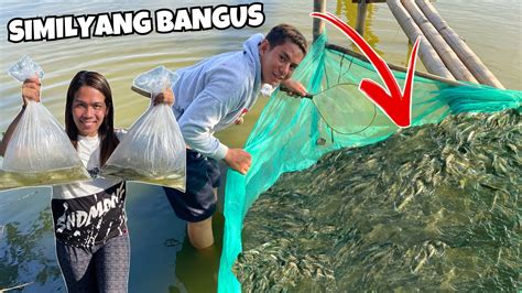 Bumili Kami Ng Mga Similyang Bangus Youtube