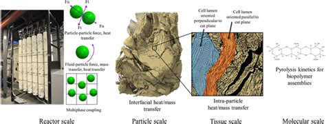 Multiscale Simulation Framework For A Biomass Pyrolyzer By Integrating Download Scientific