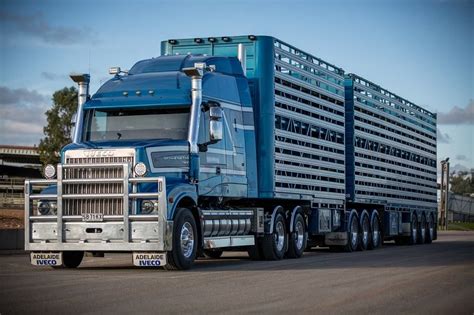 Cattle Hauling Australia Cattle Trailers Big Trucks Livestock