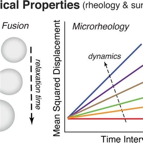 Molecular Determinants Of Phase Separation Underlying The Formation Of
