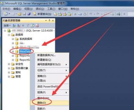 sql mysql 删除数据库 如何清除SQL数据库中的数据 CSDN博客
