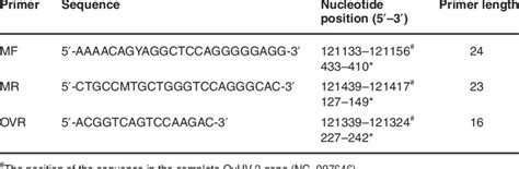 Primers Used In The Hemi Nested Pcr Download Table