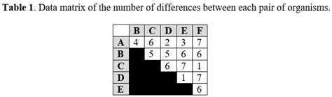 Solved Using The Following Data Matrix Which Shows The Number Of Differences Between Each Pair