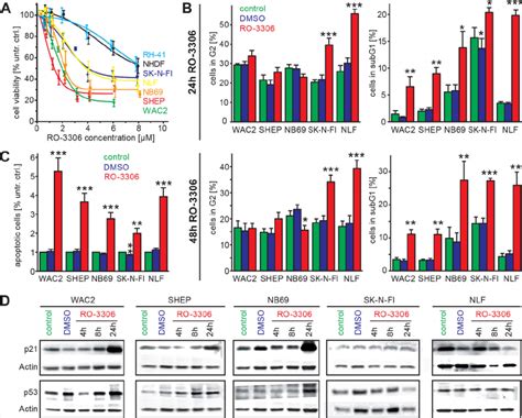 Inhibition Of Cdk1 By A Small Molecule Inhibitor Ro 3306 Induces Download Scientific Diagram