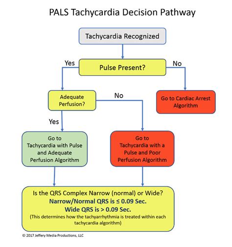 Pals Pediatric Advanced Life Support Algorithms