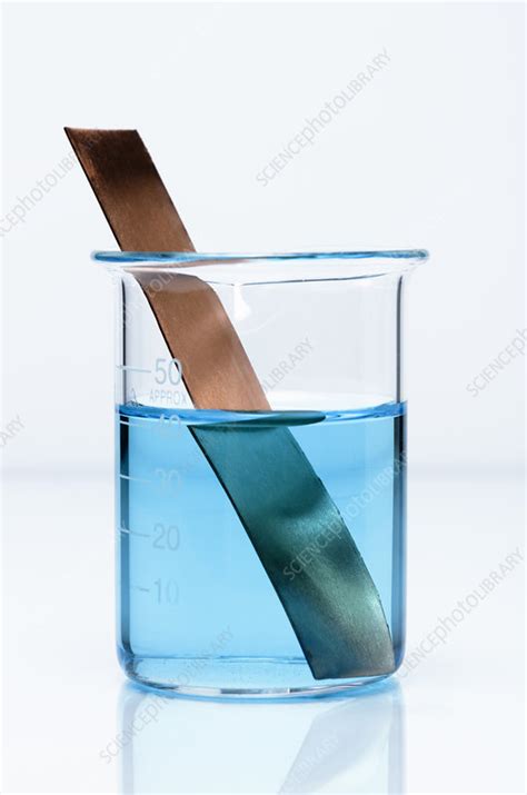 Copper Half Cell Stock Image C0504889 Science Photo Library