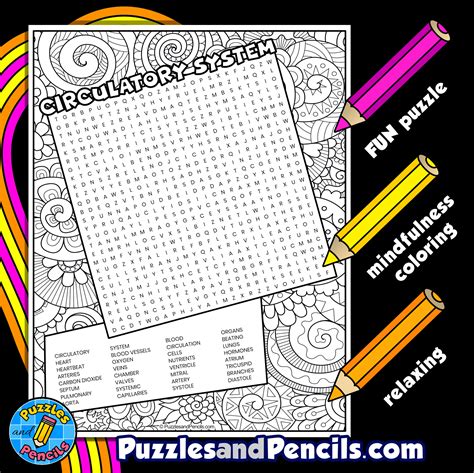 Circulatory System Word Search Puzzle With Coloring Human Body