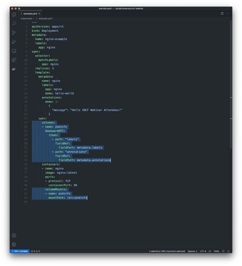 The Top Kubernetes Apis For Cloud Native Observability Part 2 The Kubernetes Pod And Downward