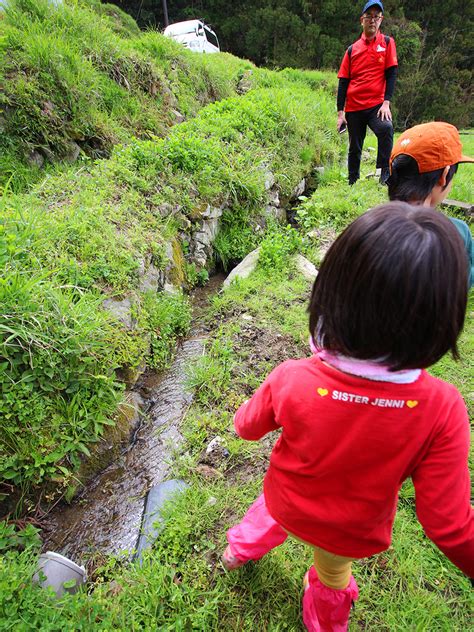 Savejapan Sj2023 Fukui Images 04 00 E8 A3 9c E4 Bf Ae