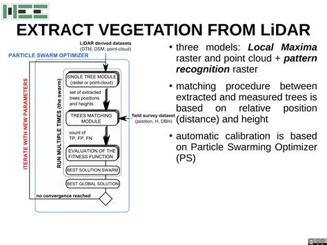 Application Of A Pattern Recognition Algorithm For Single Tree